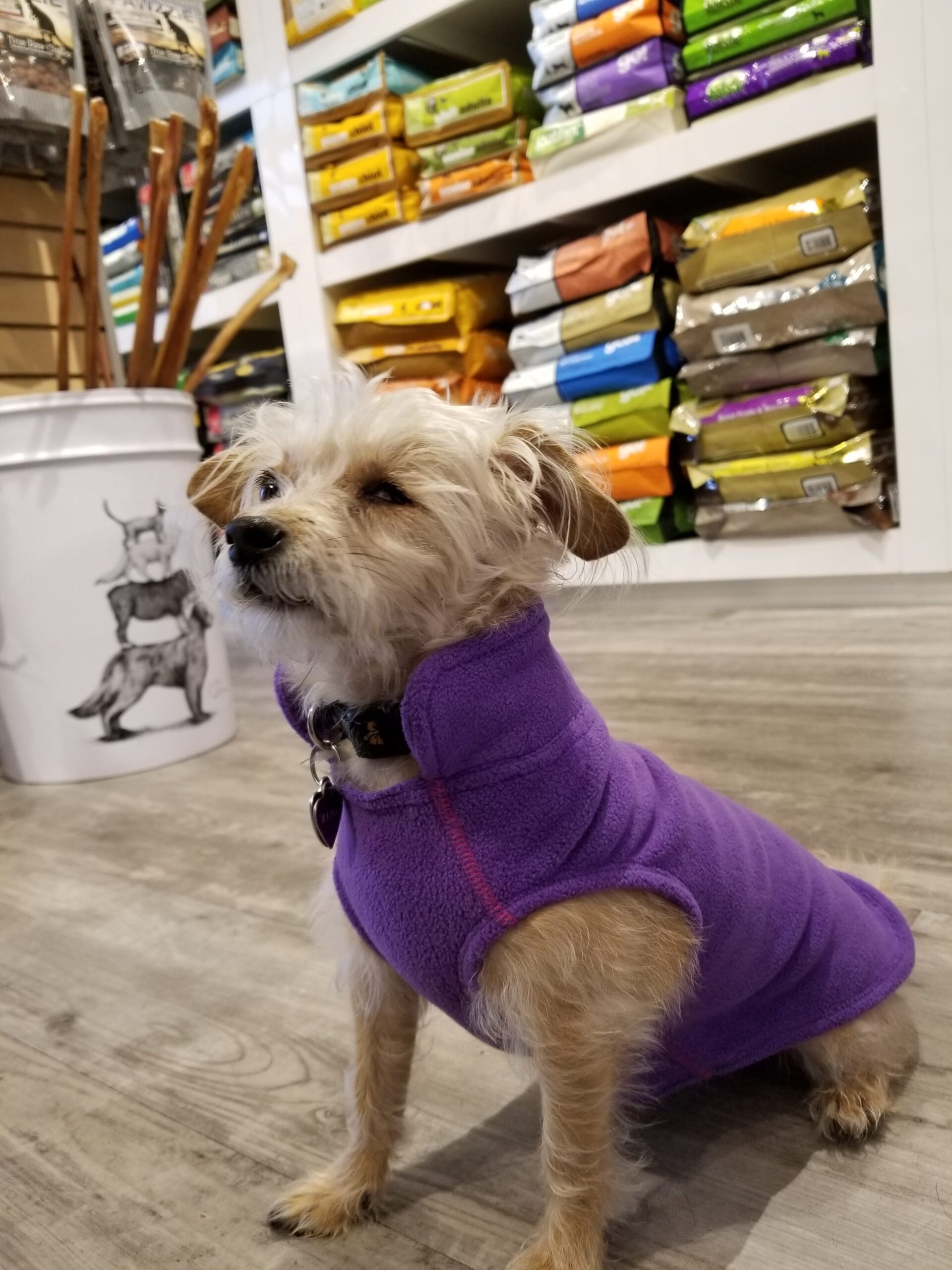 Store Spotlight: the Bone & Biscuit in Victoria, BC