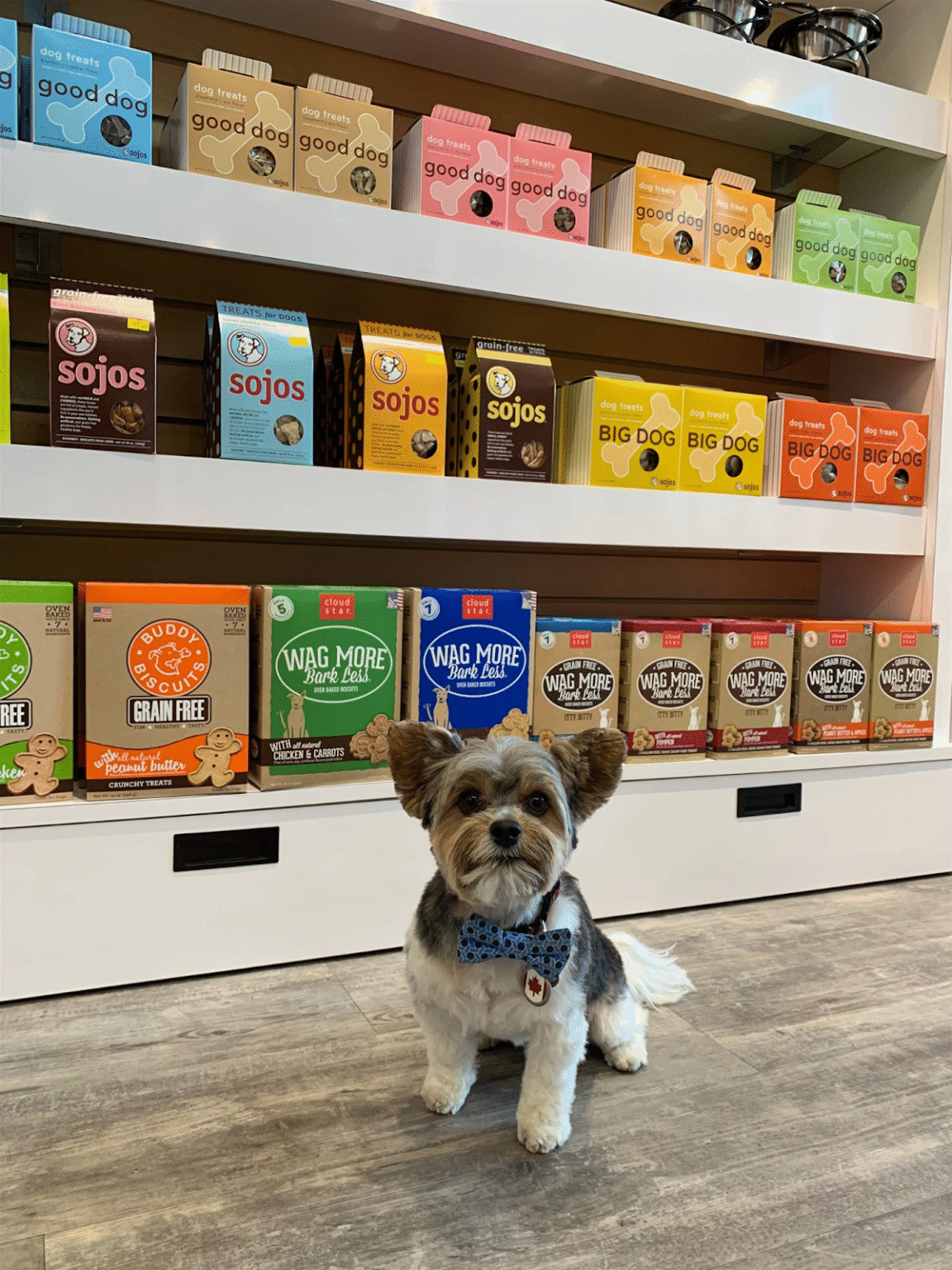 The Bone & Biscuit Co. Welcomes New Parkside, Mississauga Location on ...