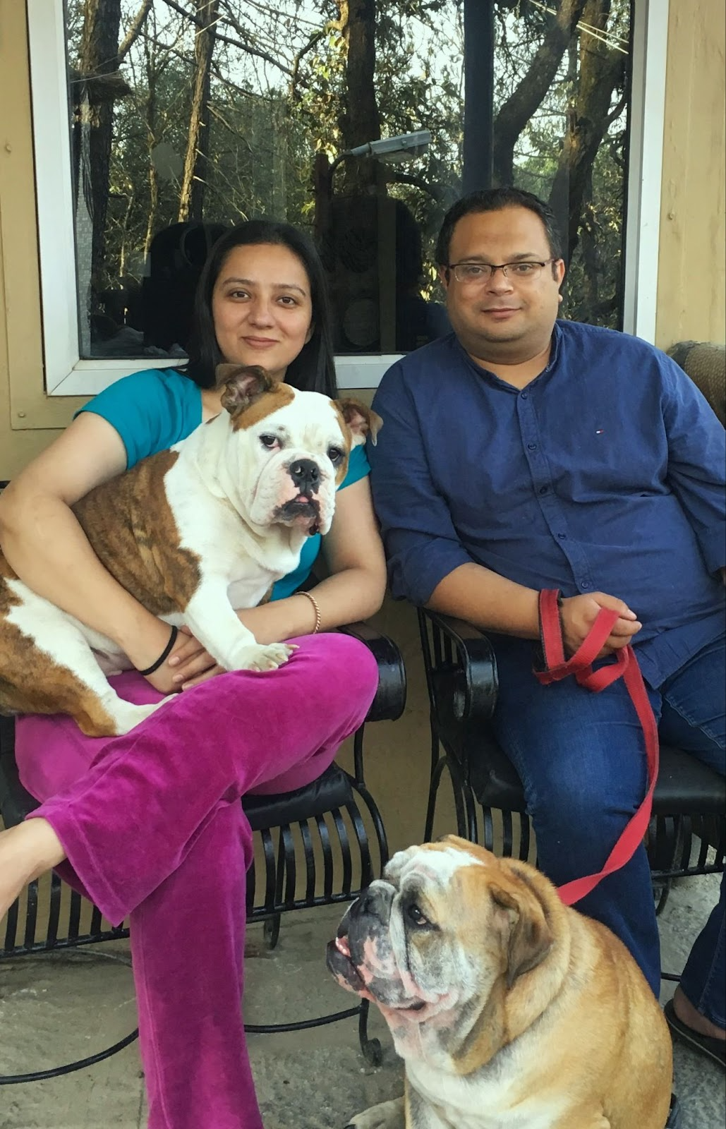 The Bone & Biscuit Co. Welcomes New Parkside, Mississauga Location on ...